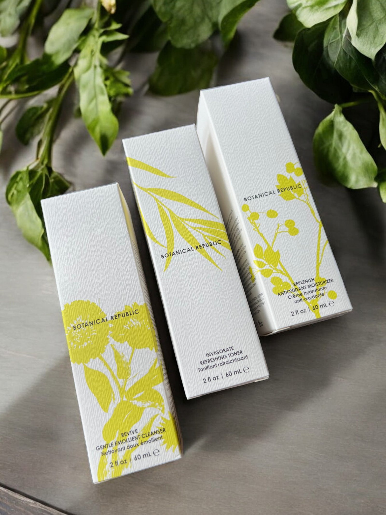 Balanced Beauty Essentials Kit by Botanical Republic - Ageless Beauty